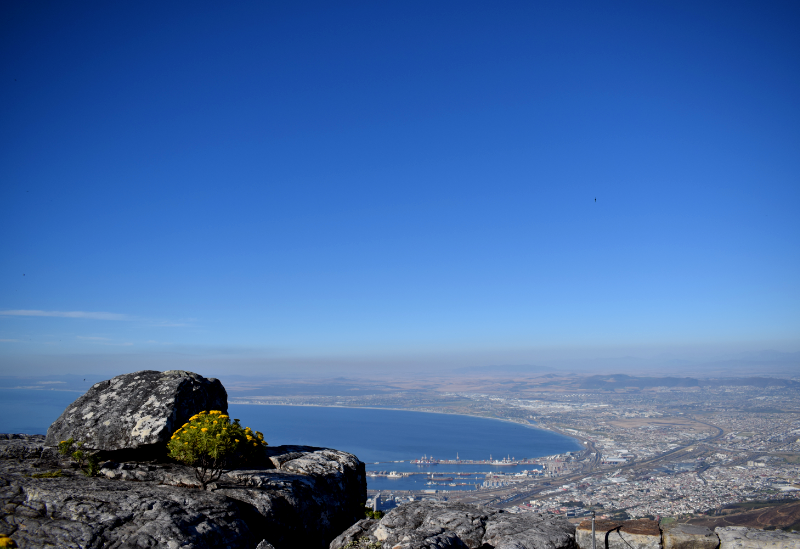 Table Mountain View Cape Town - Pip Christie